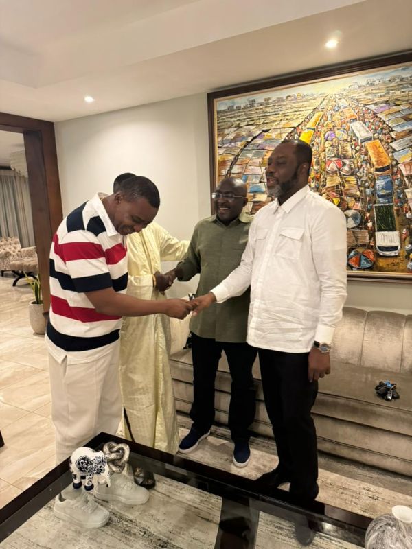 DR. BAWUMIA HOLDS A CRUCIAL MEETING WITH NAPO AND CHAIRMAN WONTUMI ...